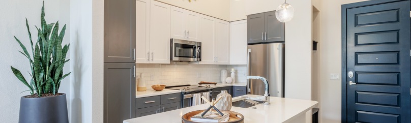 View All Floor Plans | The Cameron Apartments